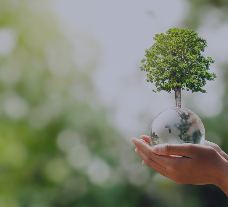 Formation Habilitation électrique initiale : opérations d’ordre ...