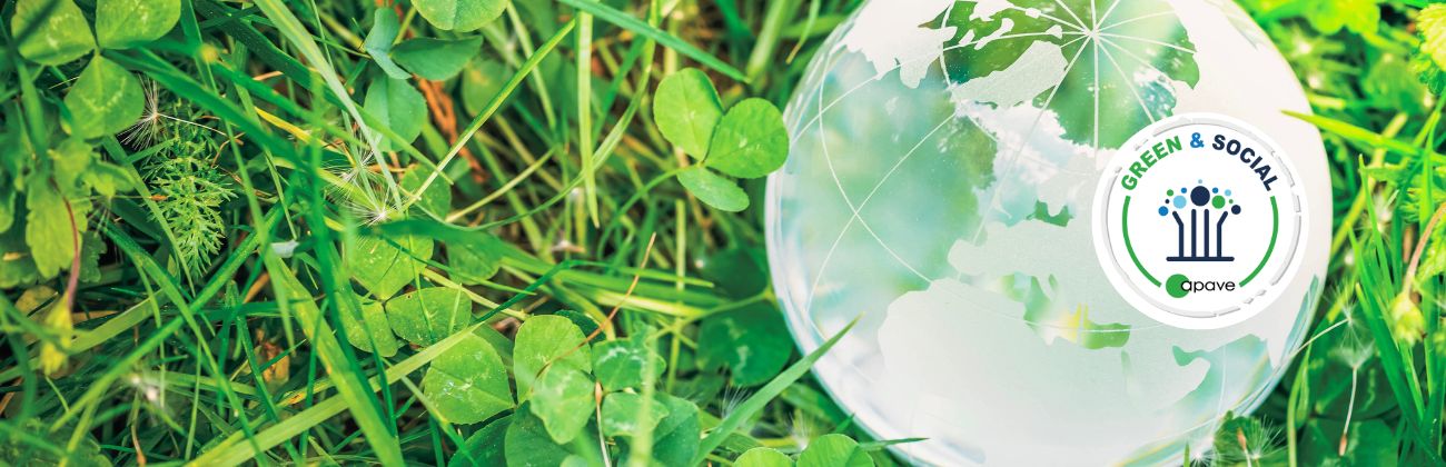 Formation CSRD et accompagnement stratégique