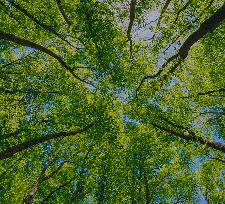 Inherent Defects Insurance (IDI) Program